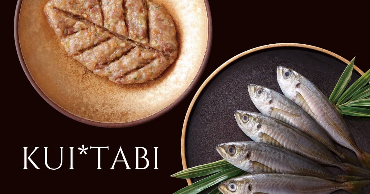 市場食堂 せん政水産（道の駅 ちくら潮風王国内）｜南房総 食旅｜エンジョイ南房総｜南房総の体験プログラム情報サイト